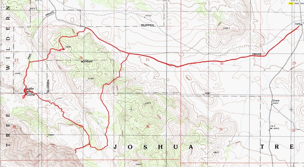 Stubbe Spring Loop hike, Joshua Tree NP, 3/13/2013